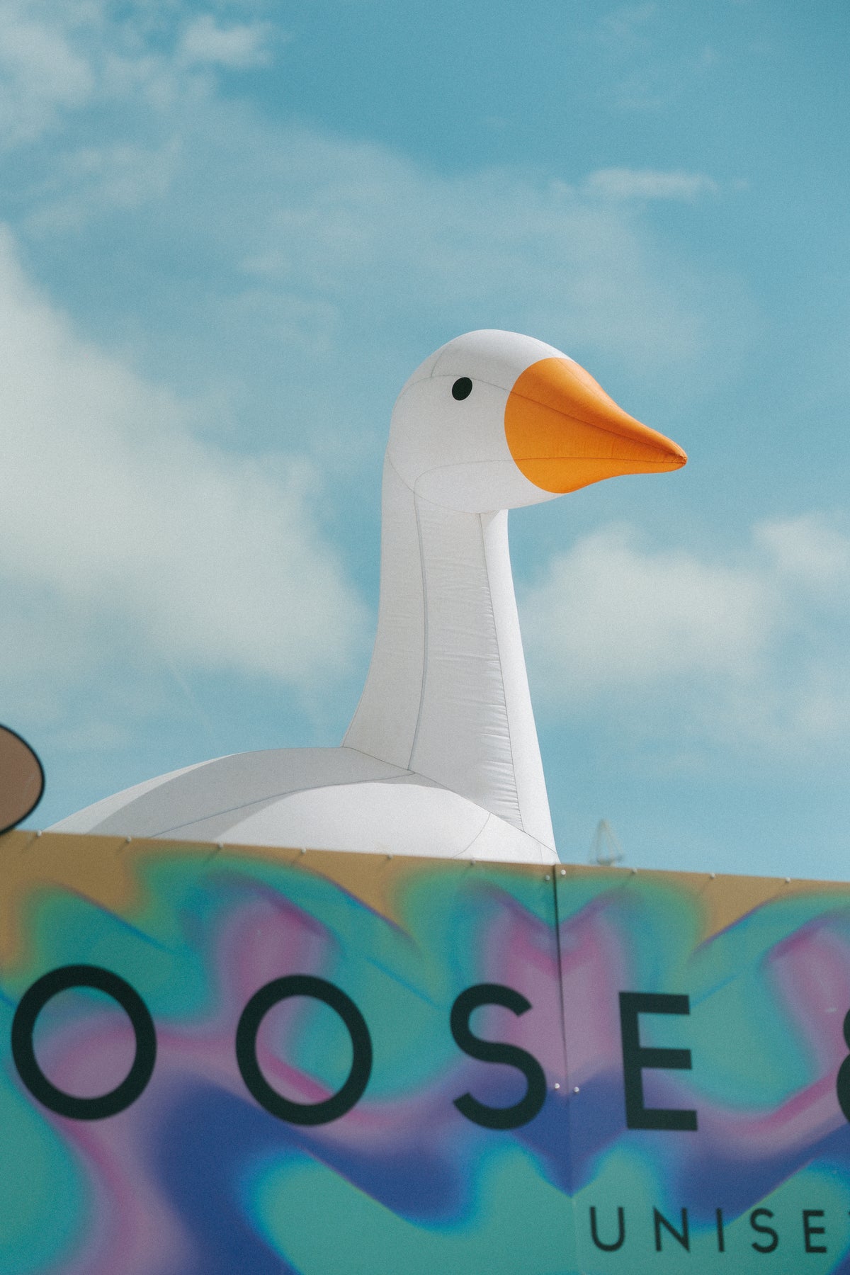 Goose & Gander Experiences
