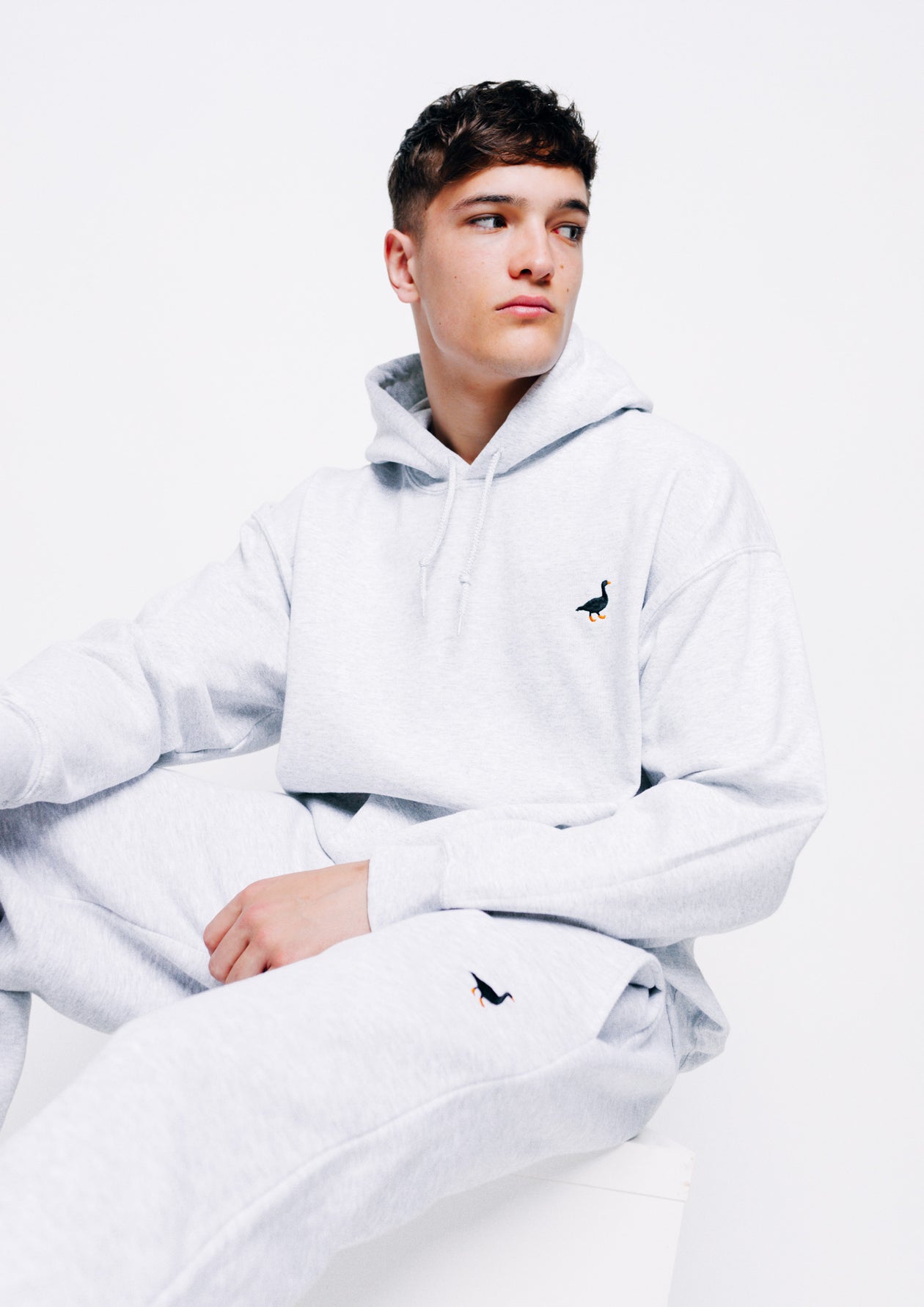 Goose Collection | Goose & Gander