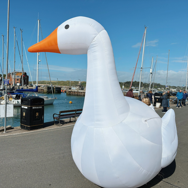 Padstow – Goose & Gander